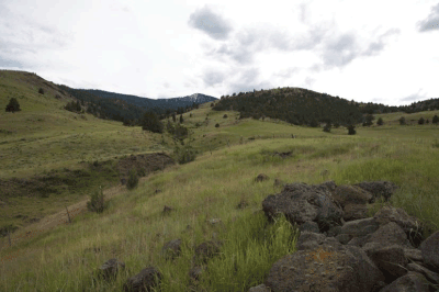Conservation Easements – Northwest Rangeland Trust